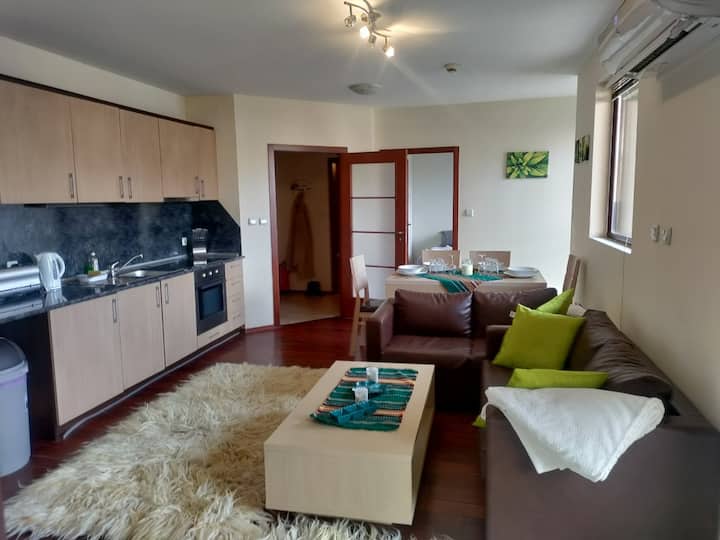 Comfortable 2 Bedroom Apartment - Bansko