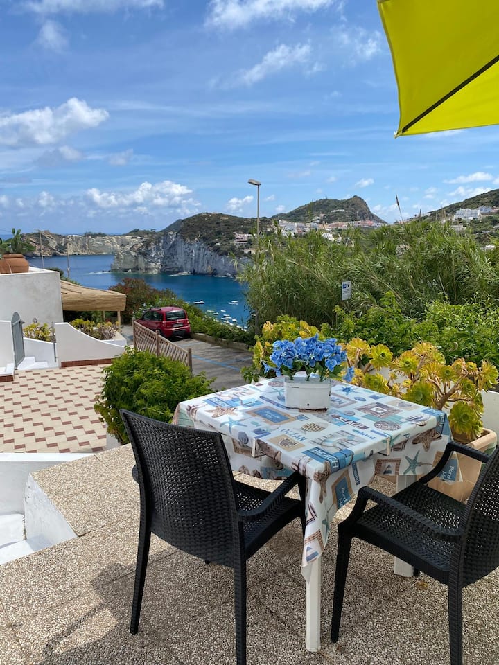 Ponzamania Sirena Cala Feola - Ponza