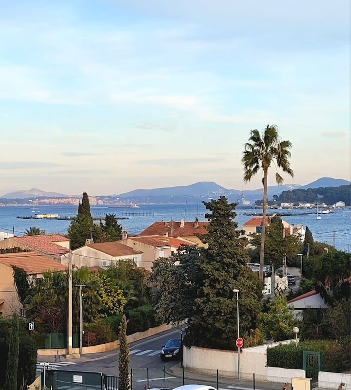 Chez Neptune - La Seyne-sur-Mer