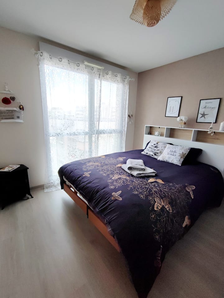Chambre Spacieuse - Dijon