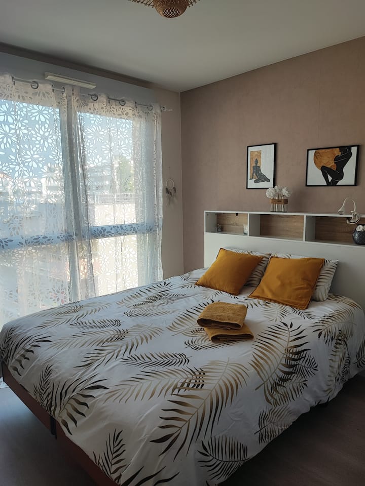 Chambre Spacieuse - Dijon