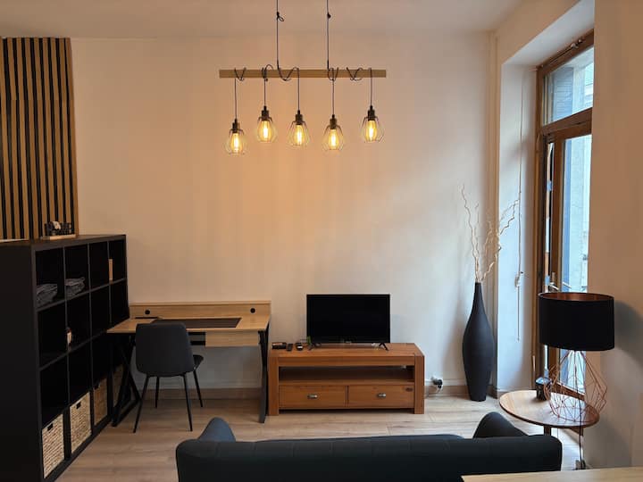 Studio Cosy Hyper Centre - Grenoble