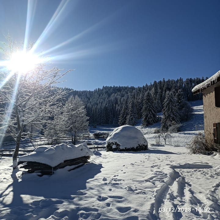 Gîte De La Petite Meurthe, Le Grand Valtin - Vosges