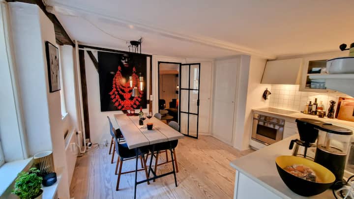 Hyggelig Lejlighed I Københavns Historiske Centrum - Copenhaguen