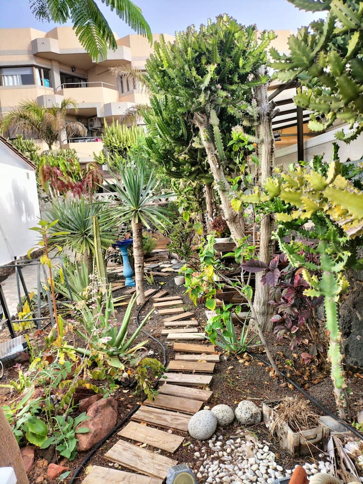 Apartamento Diamar - Corralejo