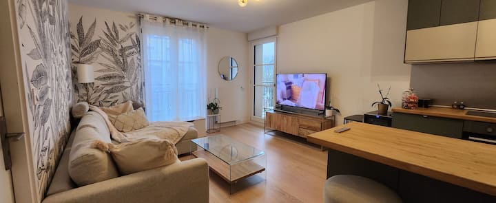 Appartement Cosy Vu Sur Le Lac - ibis Clamart Paris Velizy