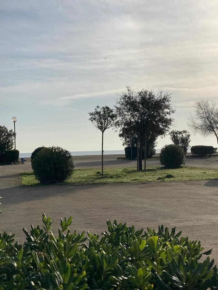 Appartement Les Pieds Dans L'eau - Argelès-sur-Mer
