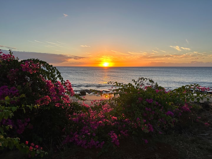 Beautiful Ocean-view Unit (Ask About Vehicle Opt.) - Maunaloa, HI