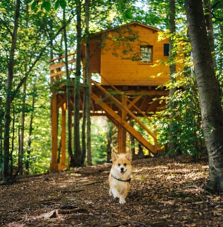 Treehouse Vtáčikovo - Slowakei
