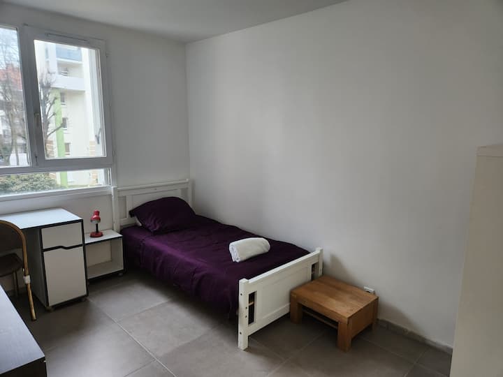 1 Voyageur Entre Disney/paris - Lognes