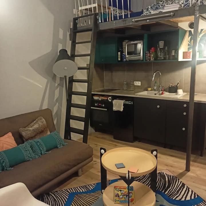 Appartement D'architecte à Vivre, En Plein Centre - Zoo de Lyon