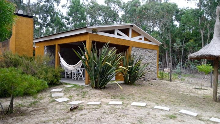 Dos Lunas, Casita En El Bosque - Uruguay