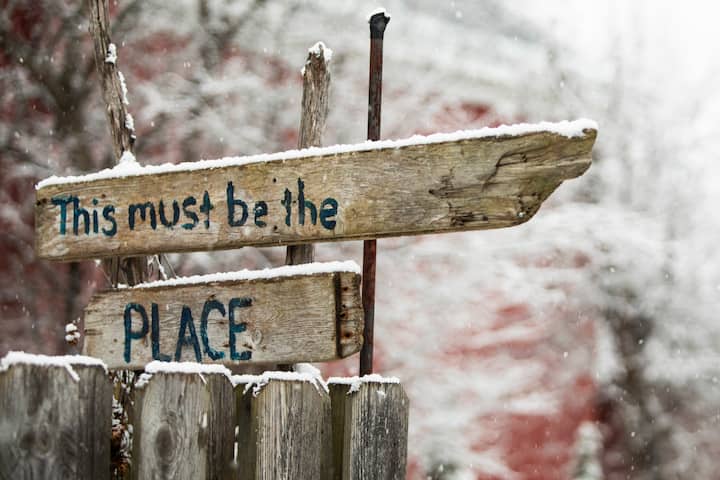 Magical Secret Garden In Burlington South End - Burlington, VT