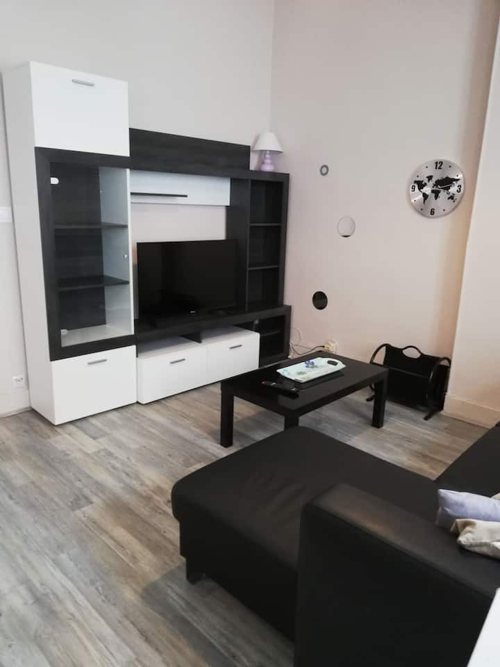 Appartement F3 Centre De Vichy - Vichy