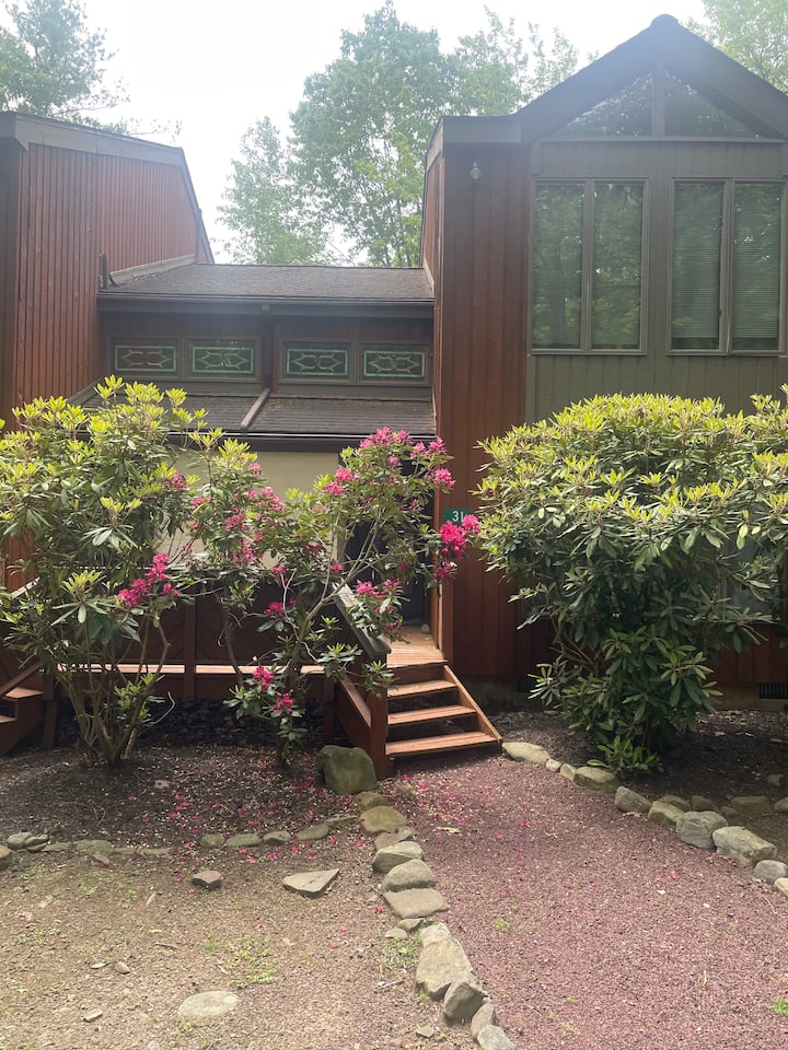 Big Boulder Townhouse - Lake Harmony, PA