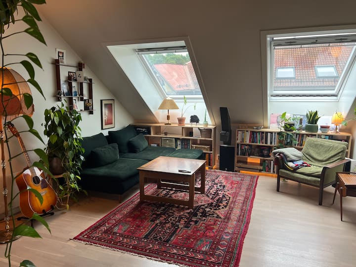 Hjemmekoselig Loftsleilighet - Oslo