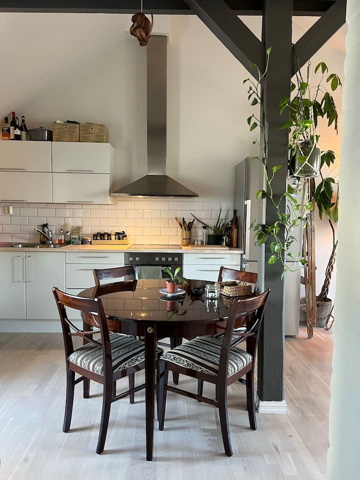Hjemmekoselig Loftsleilighet - Oslo