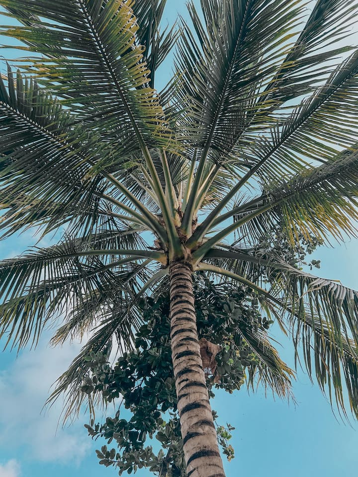 El Escape Perfecto En Nuestra Acogedor Chalet! - Puerto San José