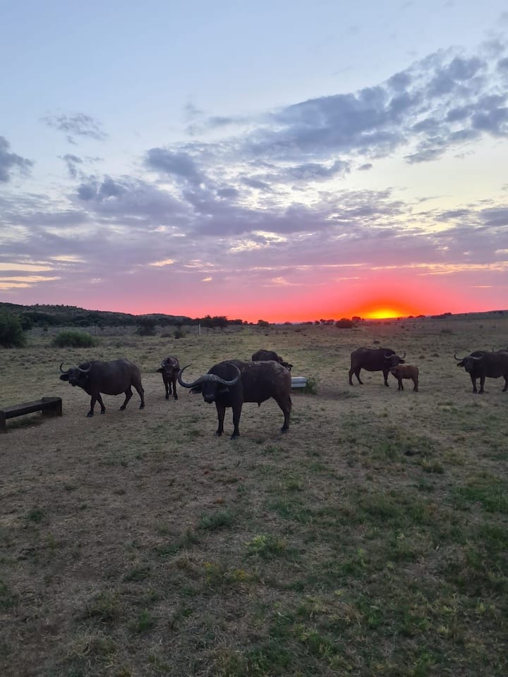 Welgegund - Stilfontein