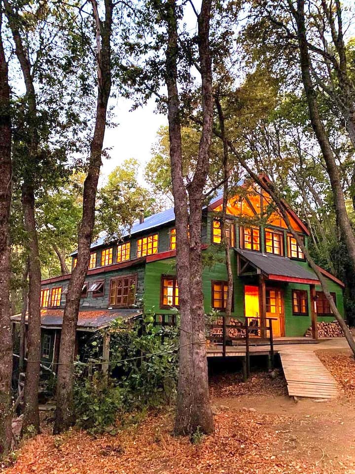 Hermoso Y Amplio Refugio En El Bosque De Vilches - San Clemente, Chile