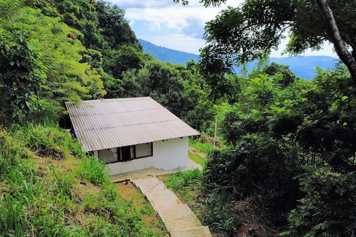 Tibet Forest Cottage - Sri Lanka