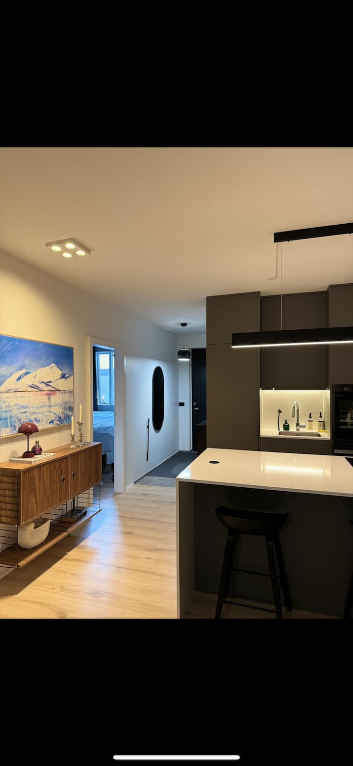 Downtown Reykjavik Apartment - Reykjavík