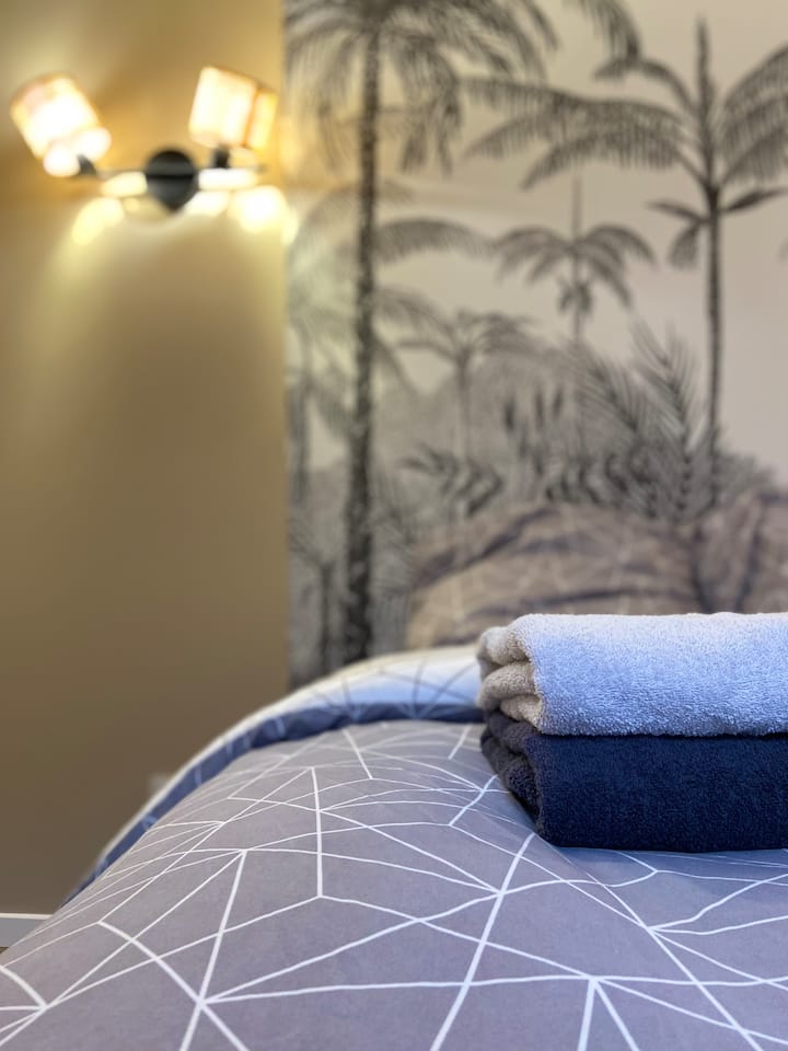 Appartement Cosy - Haguenau