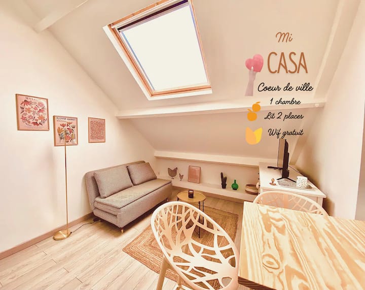 Micasa Studio Calme Et Central - Tours
