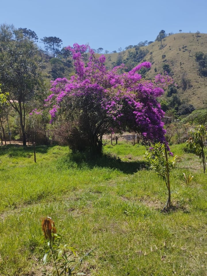 Serrinha P4 Mg - Passa Quatro