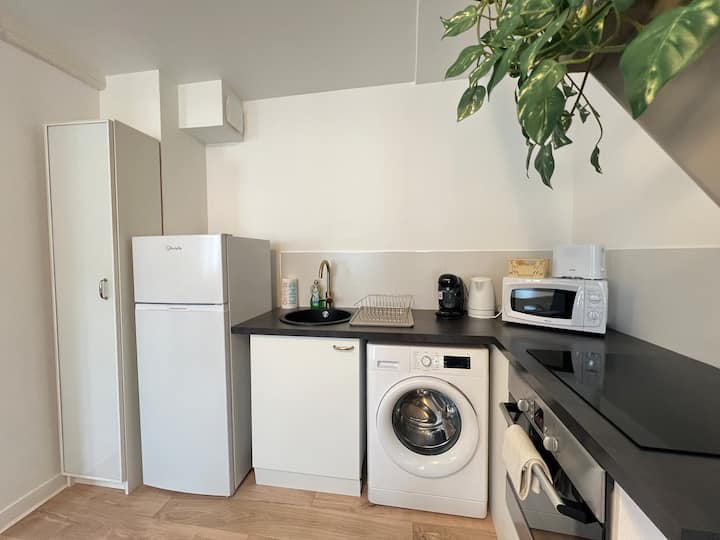 Duplex De Charme 5 Voyageurs - Orleans