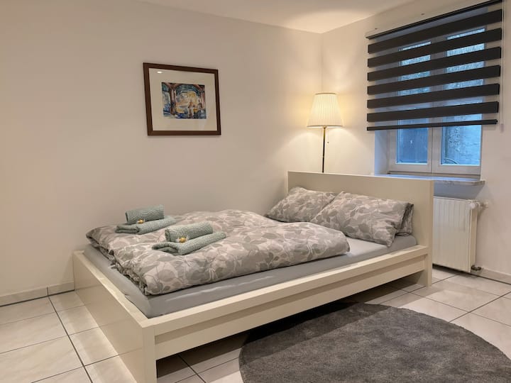 Apartment Flughafen- & Stadtnähe Mit Parkplatz - Nuremberg