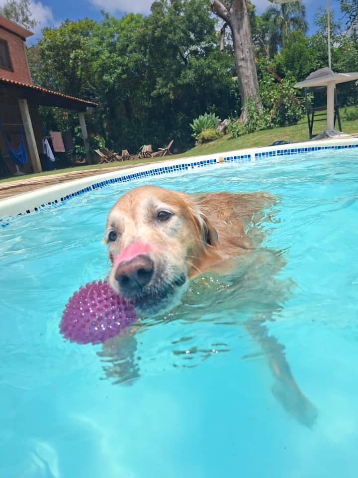 Casa Com Lareira E Piscina Homeoffice Pet Friendly - Ibiúna