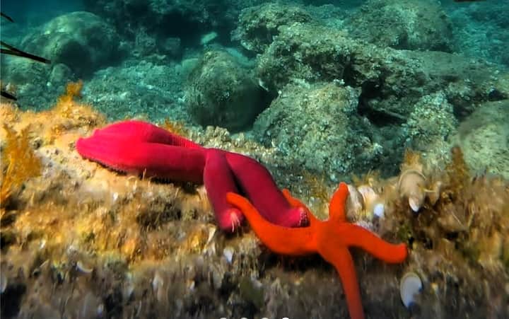 Confortevole Bilo Con Patio, Piscina 3 M Dal Mare - Calabria