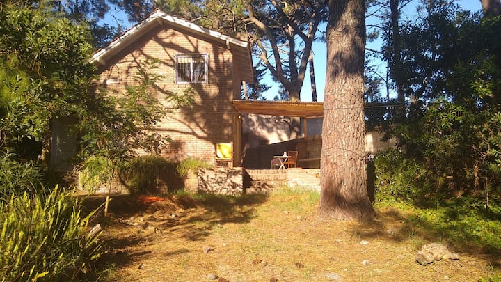 Casa Familiar Con Gran Terreno. - Villa Gesell