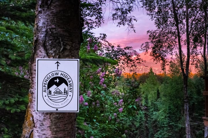 Rare Views & Cozy — Downtown / Central Anc - Anchorage, AK