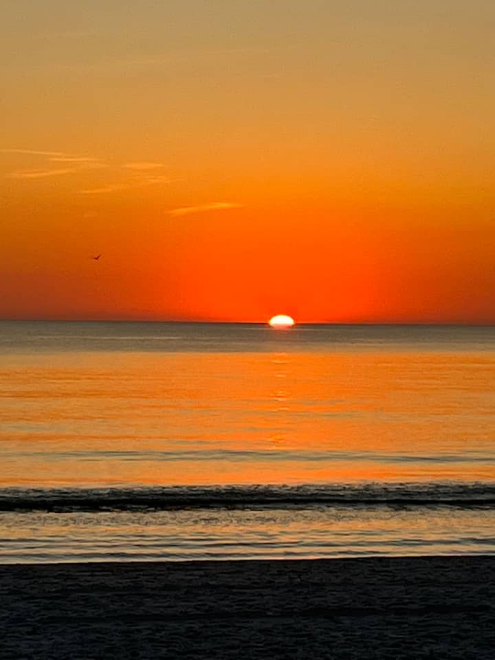 Amazing 1st Floor Steps To The Beach
Octopus Oasis - North Redington Beach, FL