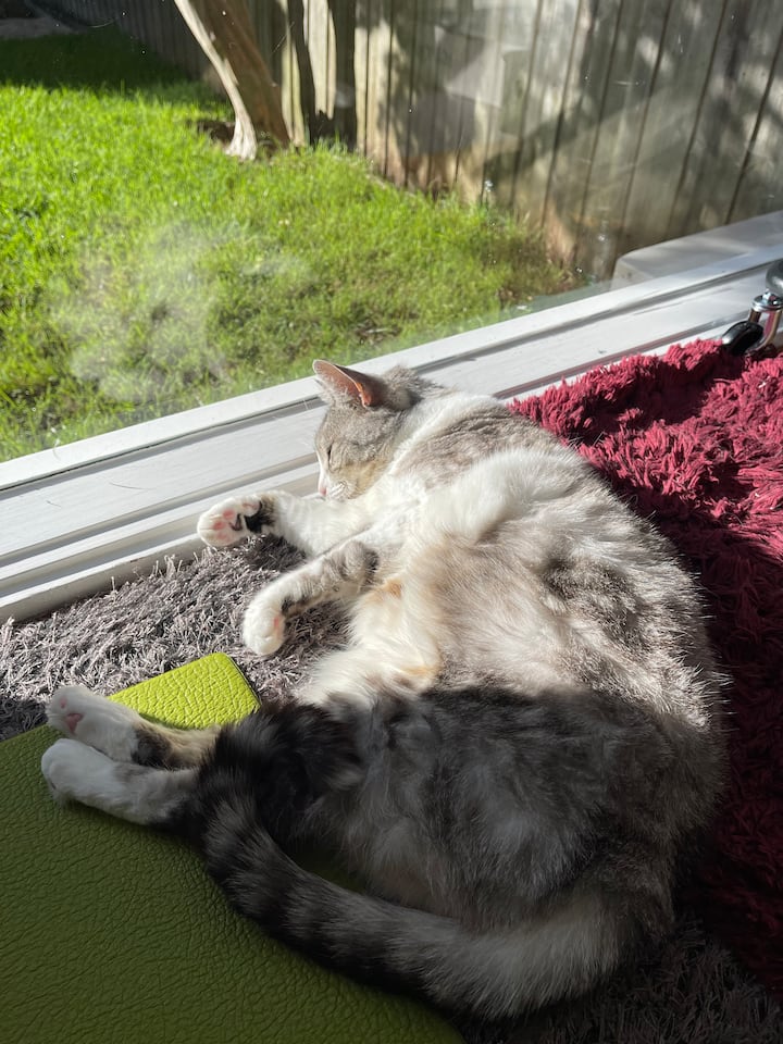 Left Beach Right National Park - Coogee