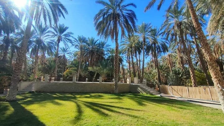 Dar Hinia - Tozeur