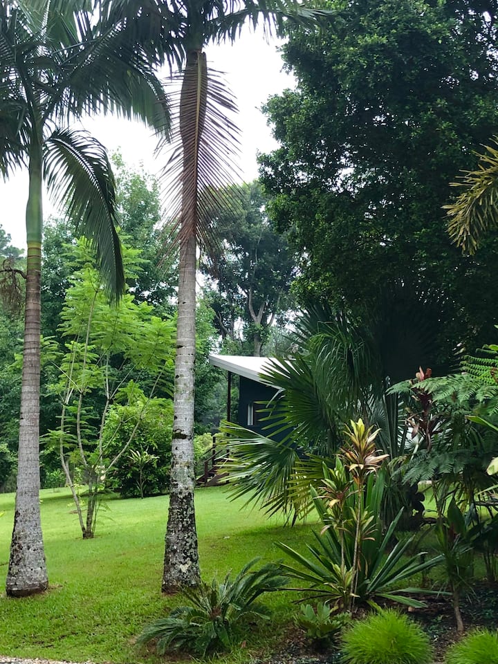 Birdsong Ecocottage In The Lush Byron Hinterlands - Bangalow