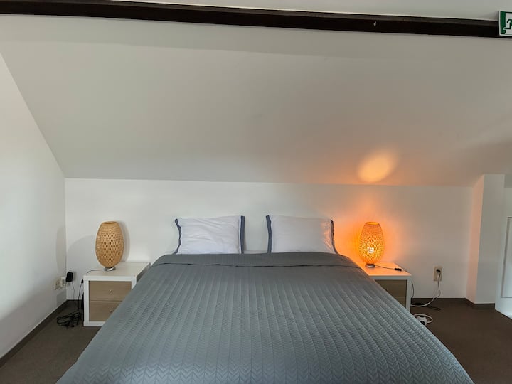 Appartement Privé Dans Villa/parking Gratuit - Aéroport de Bruxelles Zaventem (BRU)