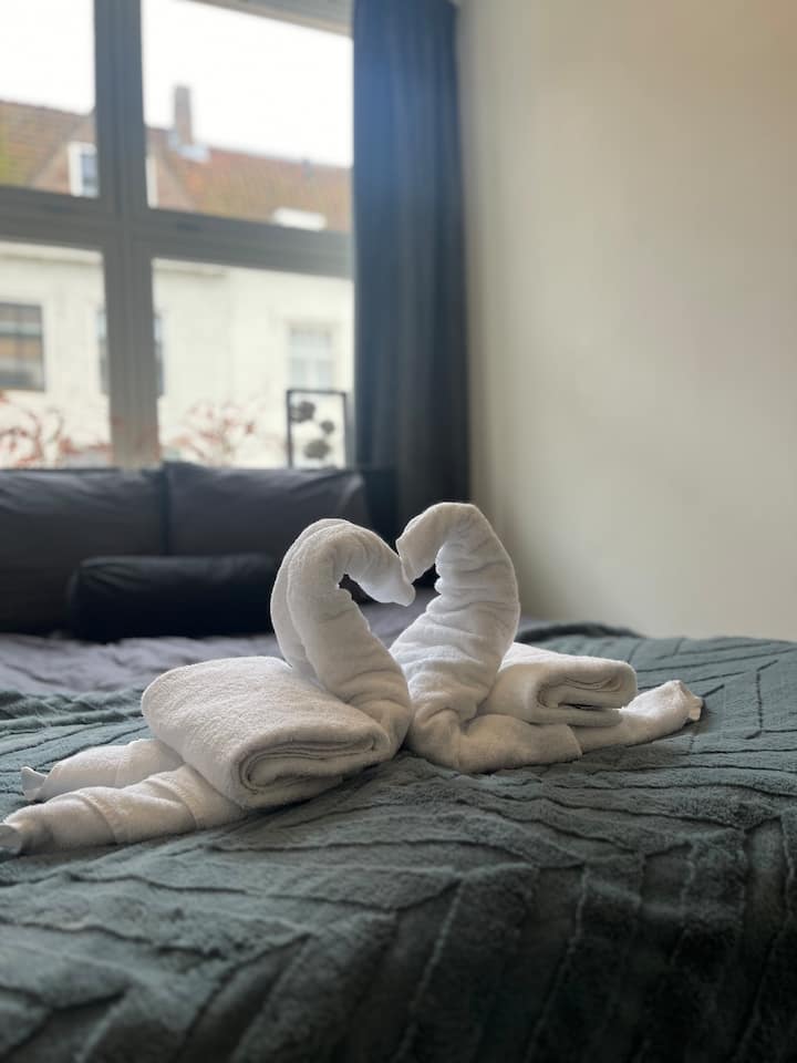 Luxe En Ruim Appartement Casa - Middelburg