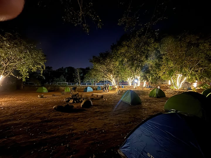 Camping With Horses - Bangalore