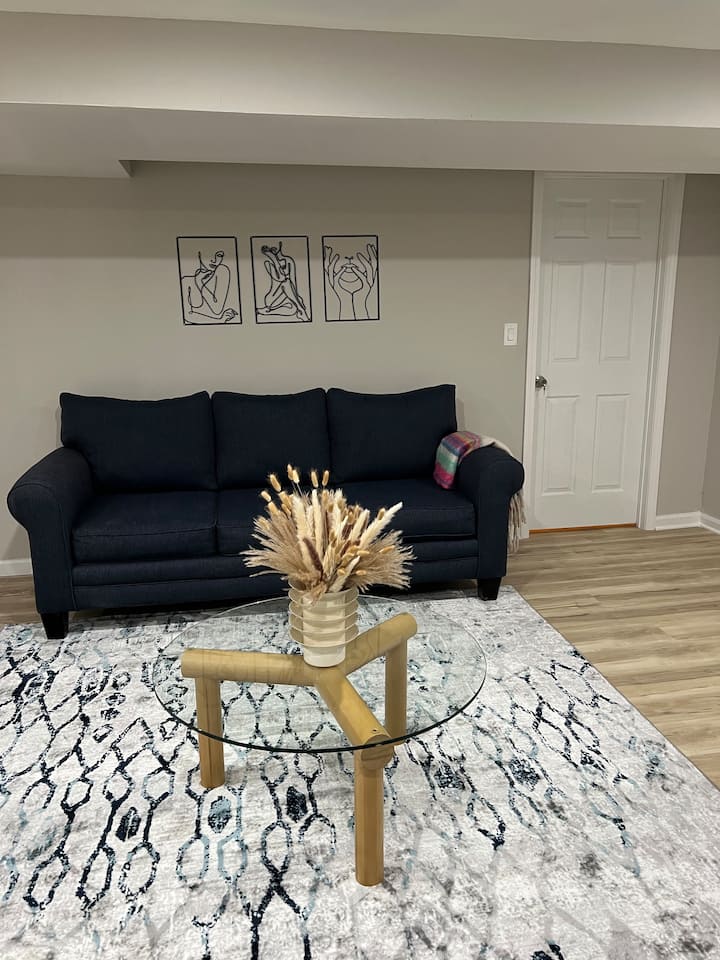 Newly Renovated One Bedroom Unit - Fairfax, VA