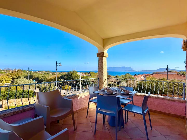 Conchiglia 2 - Olbia