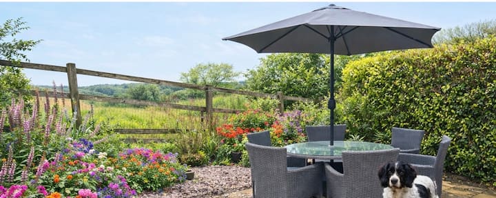 Family Lodge Hideaway - Bude