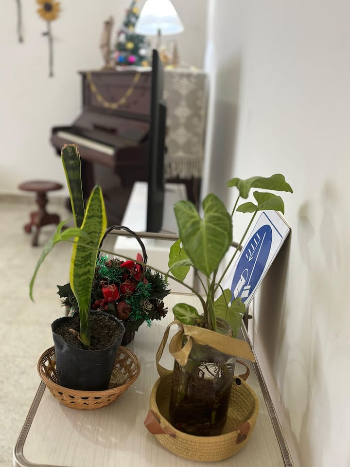 Piano House. - Mendoza