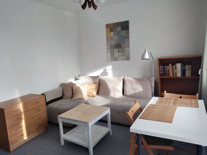 Mieszkanie W Zacisznej Okolicy - Katowice