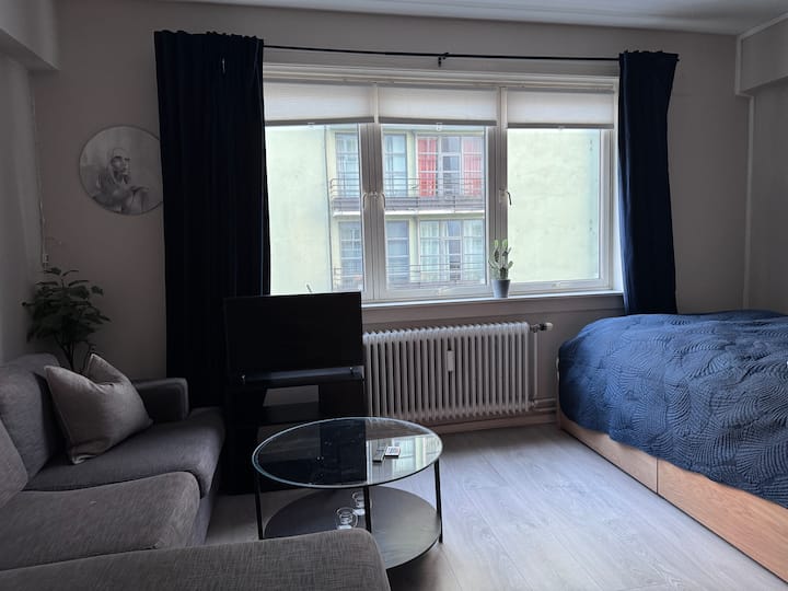 Cozy 32m² Urban Retreat In The Heart Of The City - Oslo