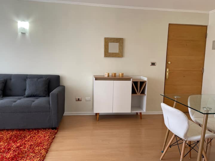 Encanto Y Comodidad: 2d/2b En Providencia. - Santiago, Chile