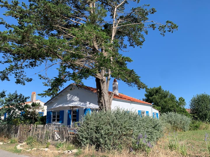 Villa Sur La Plage Ile D'aix Pleine Vue Mer - Île d'Aix